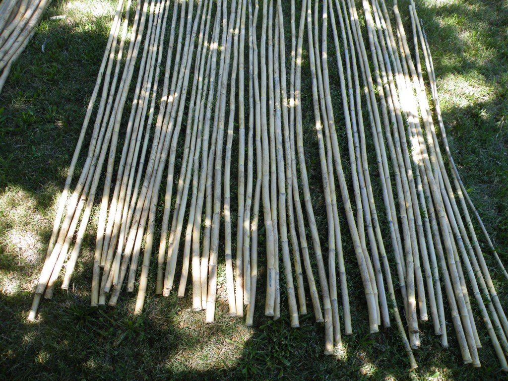 JayBeacham.com-A Voice as an Instrument » Farm Products (Al-Ginn ...